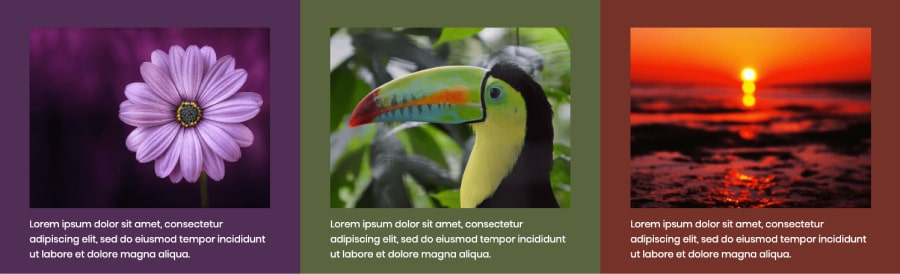 Image Average Color Finder Online 10015 Tools
